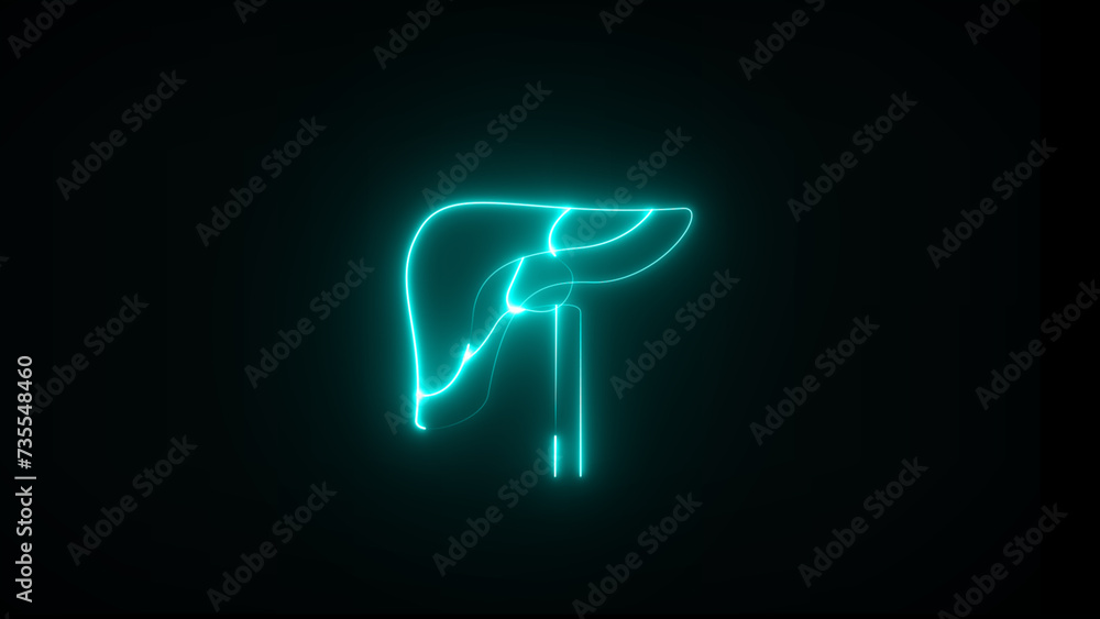 Neon liver. Liver is the most important metabolic organ of body. It is ...