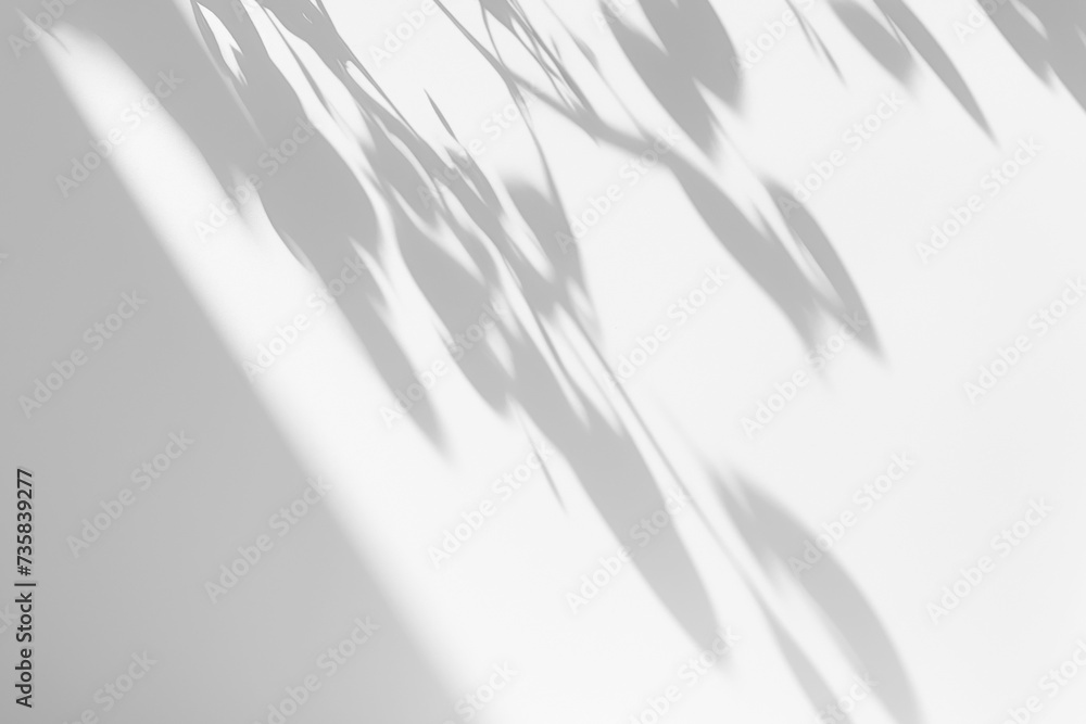 Nature Plant Shadow Overlay PNG Transparent Background Stock ...