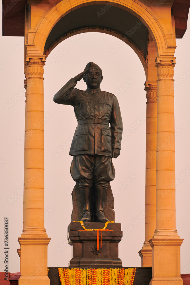 Statue of Subhas Chandra Bose under canopy behind India Gate war ...