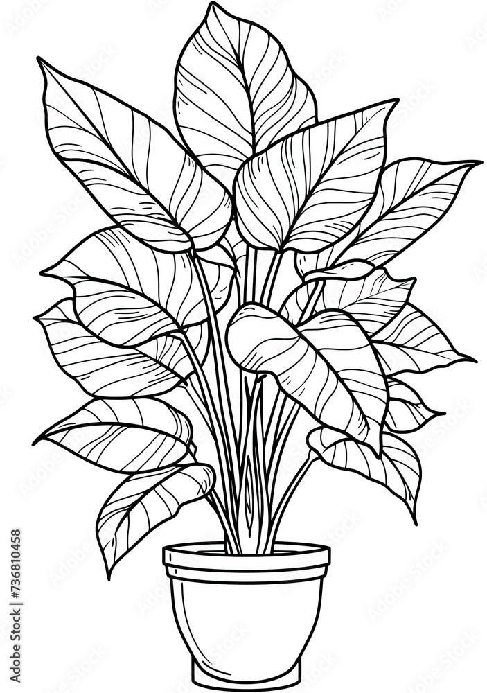 Potted plant coloring page isolated on transparent background. PNG ...