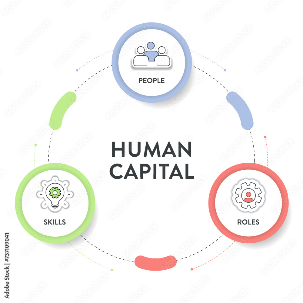 Human Capital or HC strategy framework infographics diagram chart ...