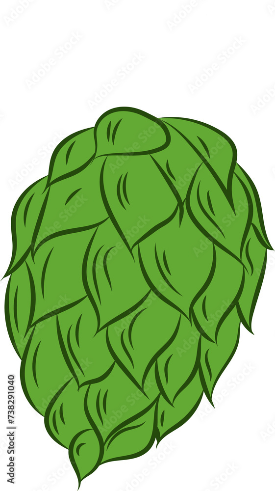 hop herb plants with leaf. on transparent, png. For labels, packaging ...