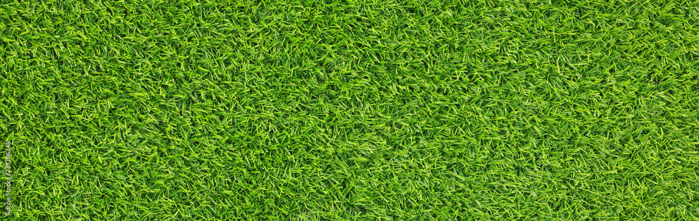 Fresh green grass as background outdoors, top view. Banner design Stock ...