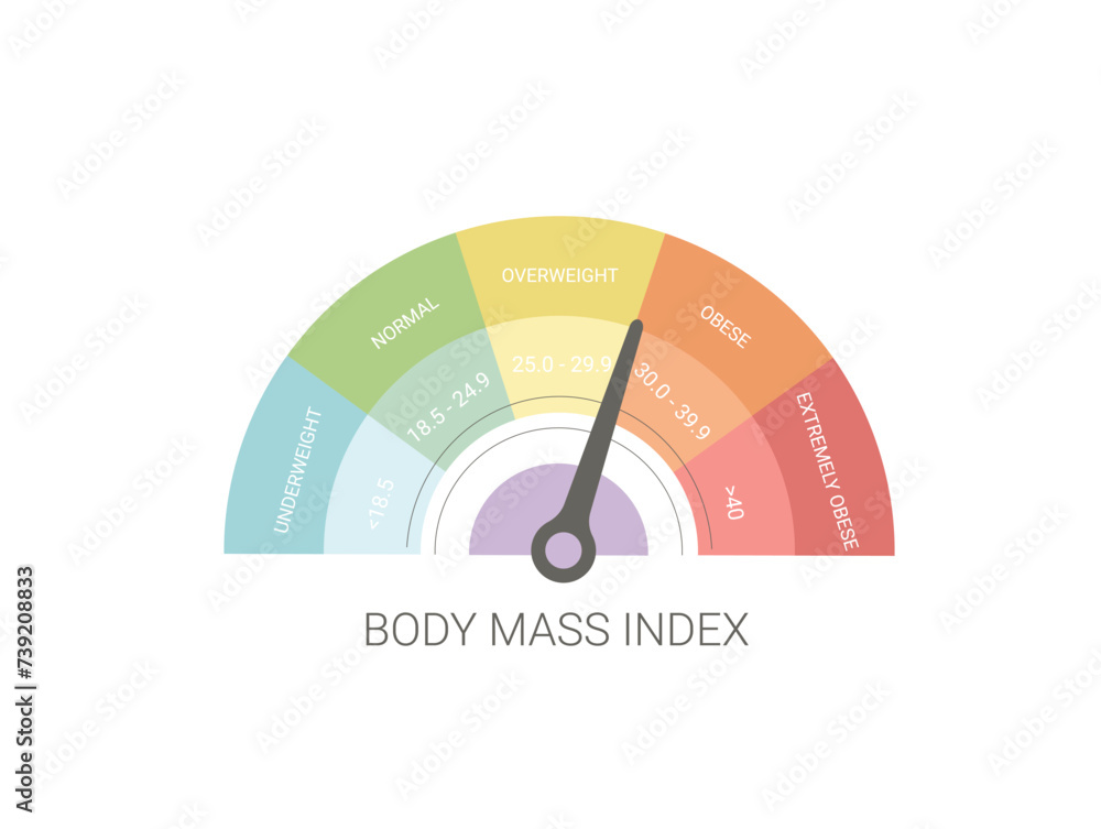 BMI infographic. Body mass index. Chart indicator. Weight control ...