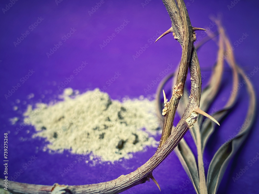 Lent Season, Holy Week, Ash Wednesday, Palm Sunday and Good Friday ...