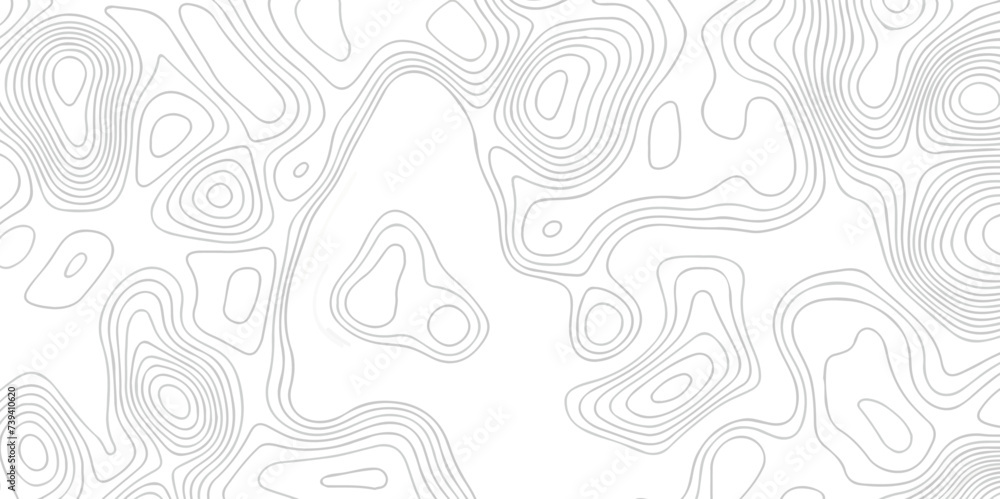 Topographic map background geographic line map with elevation ...
