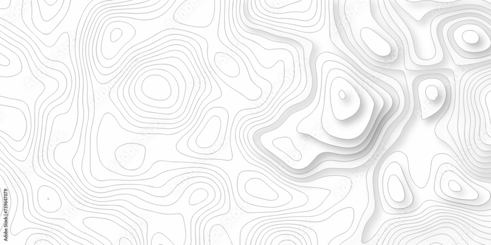 The stylized height of the topographic map in contour, lines ...