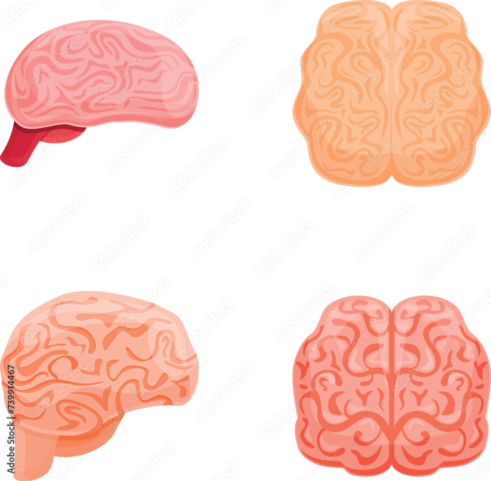 Human brain icons set cartoon vector. Left and right hemisphere of ...