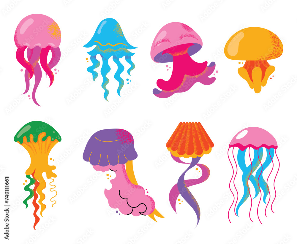 Collection of gorgeous marine animals jellyfish isolated on white ...