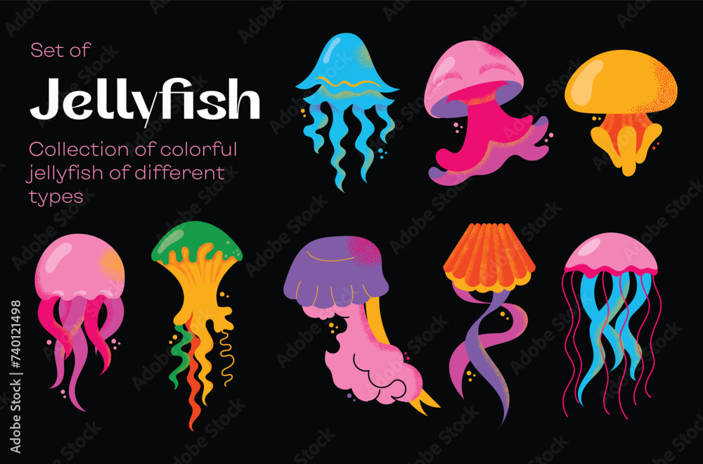 Collection of gorgeous marine animals jellyfish isolated on black ...