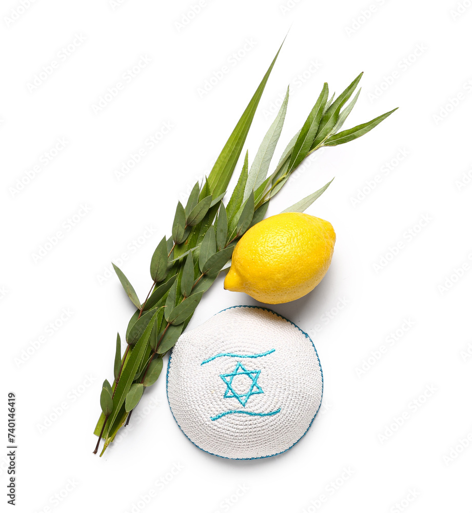 Four species (lulav, hadas, arava, etrog) as Sukkot festival symbols ...