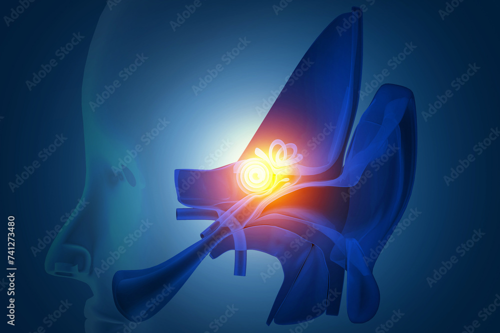 Stock-Illustration „The anatomical structure of the human ear, sound ...