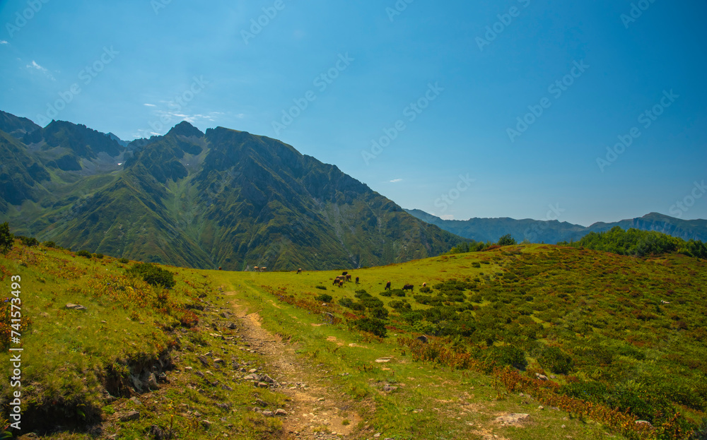 Various images from the Black Sea plateaus mountain peaks plateau ...