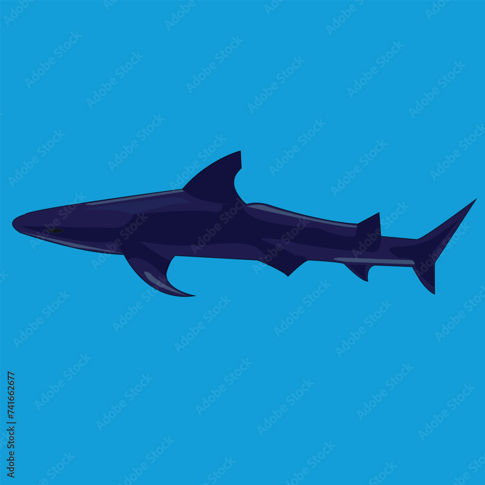 Shark, a predator fish, swims underwater and hunts other fish. The ...