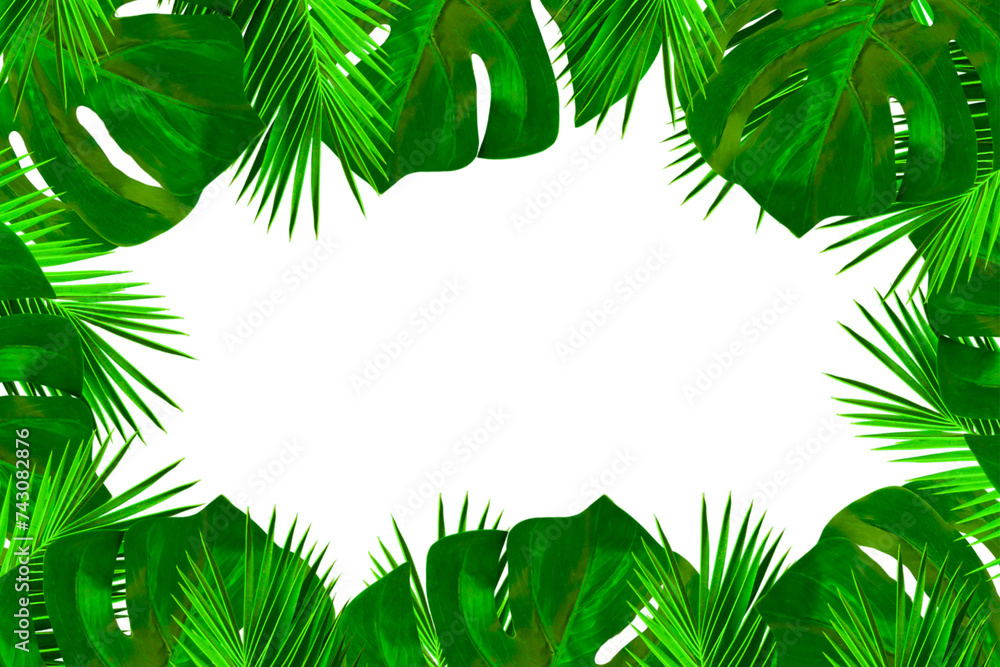 Tropical plants leaf frame border from green palm leaves, monstera leaf ...