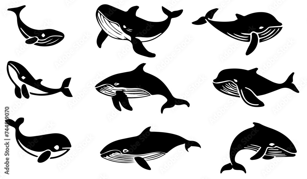 Whale vector transparent background PNG clipart Stock Vector | Adobe Stock