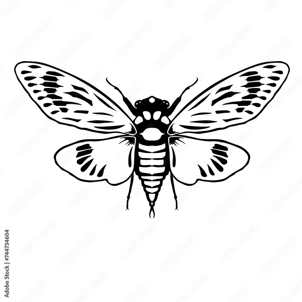 Cicada vector graphic art, cicada icon Stock Vector | Adobe Stock