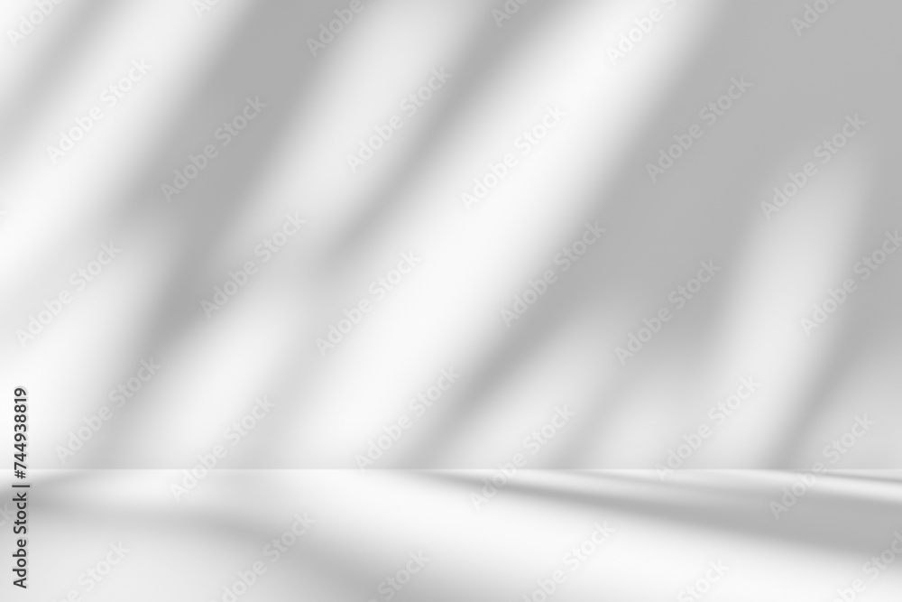 Empty gray room studio with shadow of tree leaves on the wall and floor ...