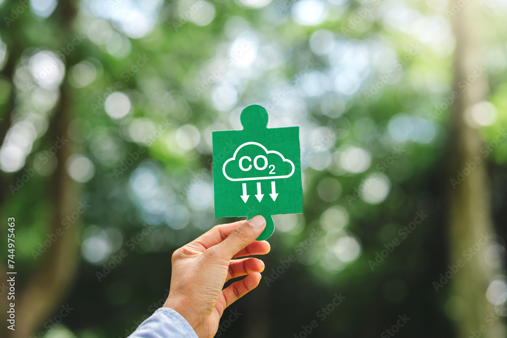 Environment Earth Day Carbon neutral concept, Carbon and net zero ...