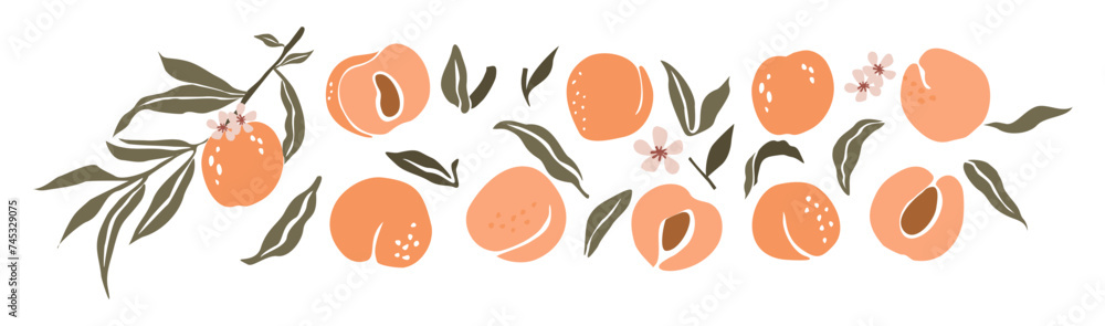 Hand drawn abstract peach set. Collection of whole and cut peaches ...