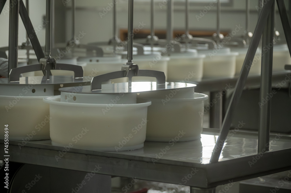Process of organic cheese making from cow milk on bio cheese farm in ...