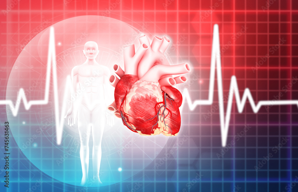 Human Heart Diagram, Ecg graph, heart attack concept. 3d illustration ...