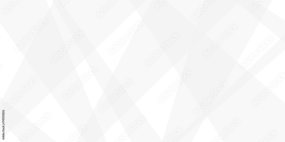 Abstract background with white and gray and geometric style with simple ...