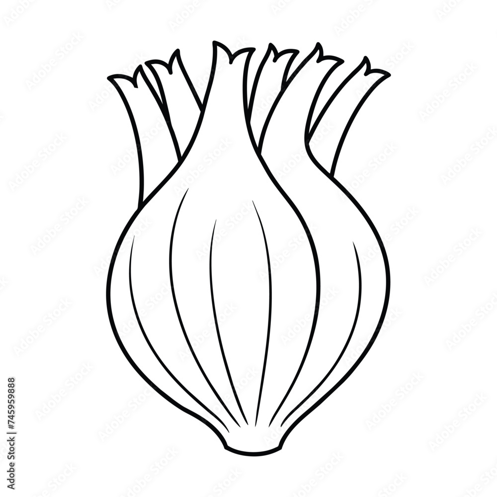 Vector of fennel illustration coloring page for kids Stock Vector ...