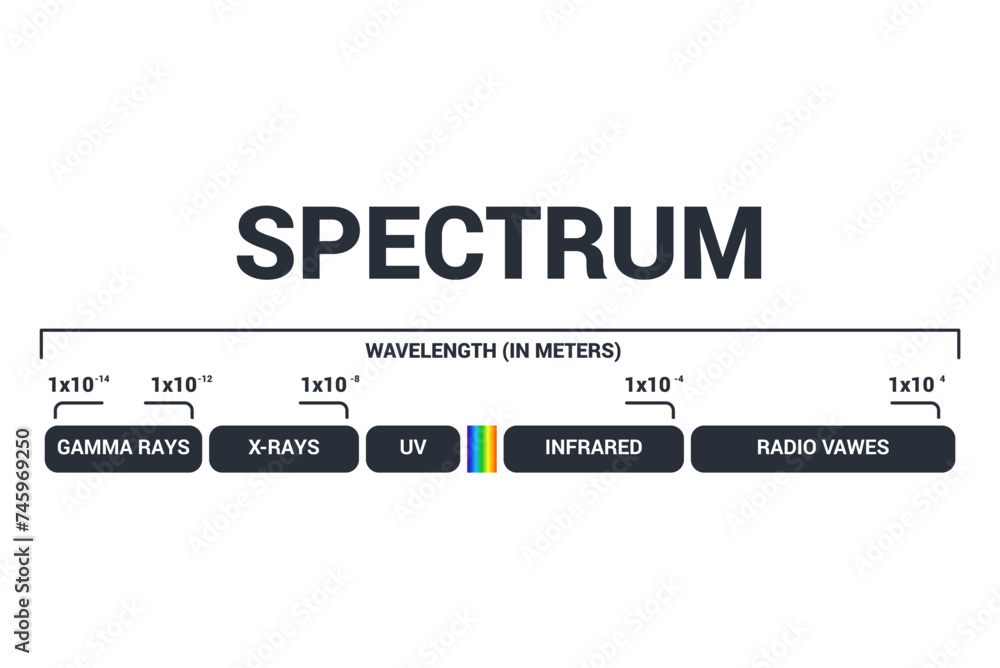 Visible light diagram. Color electromagnetic spectrum, light wave ...