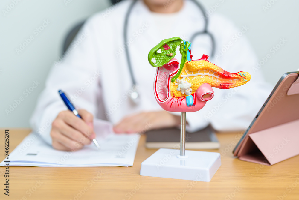 Doctor with human Pancreatitis anatomy model with Pancreas, Gallbladder ...