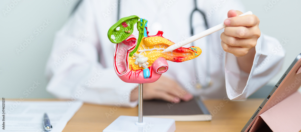 Doctor with human Pancreatitis anatomy model with Pancreas, Gallbladder ...