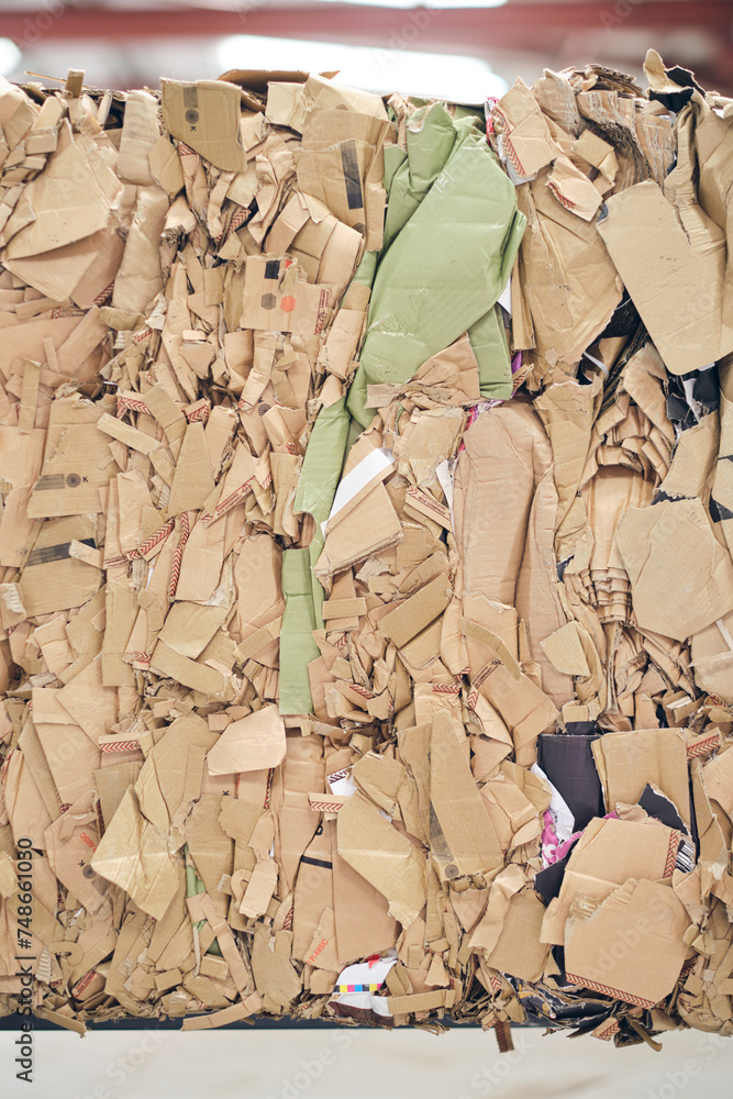 Shredded card board boxes ready for recycling from manufacture ...