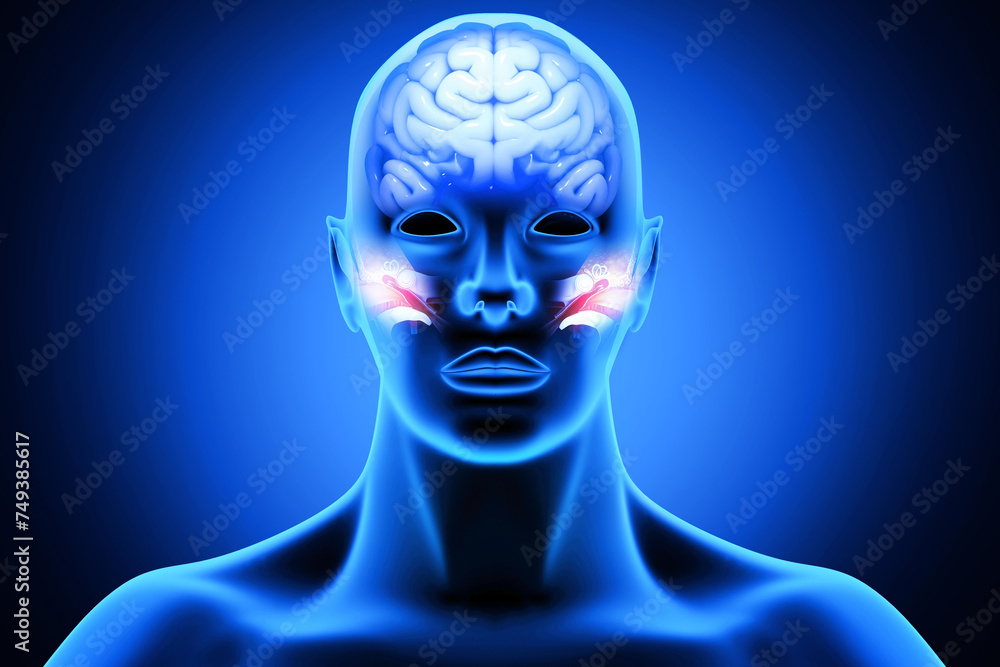The anatomical structure of the human ear, sound wave and ear with ...