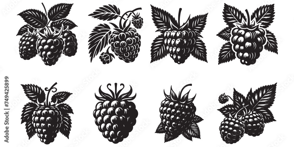 Raspberry, wild berry, black silhouette on a transparent background ...