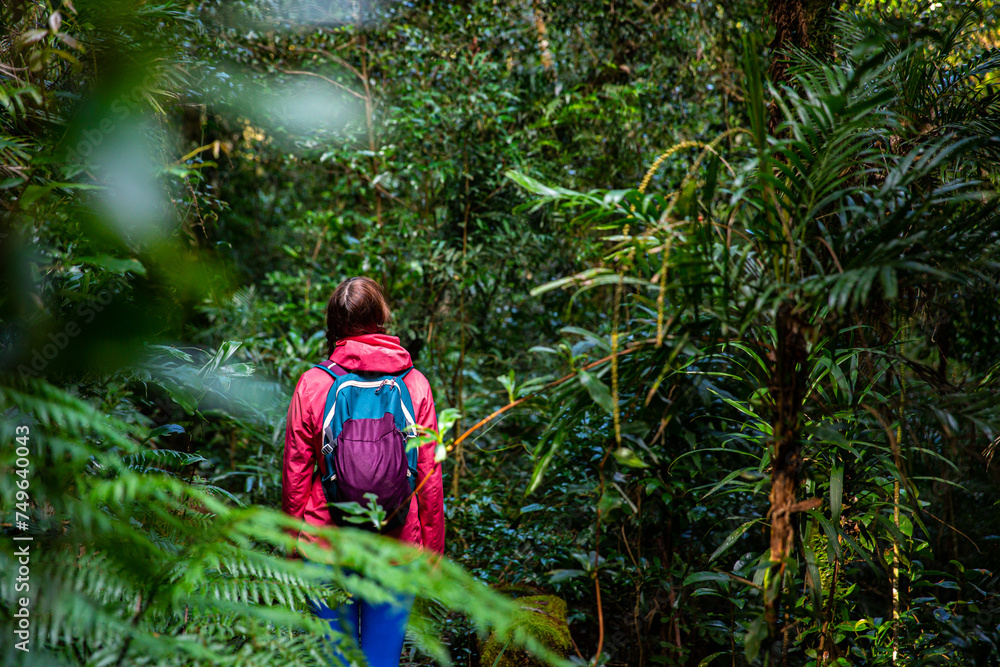 hiker girl with backpack walking through unique dense tropical ...