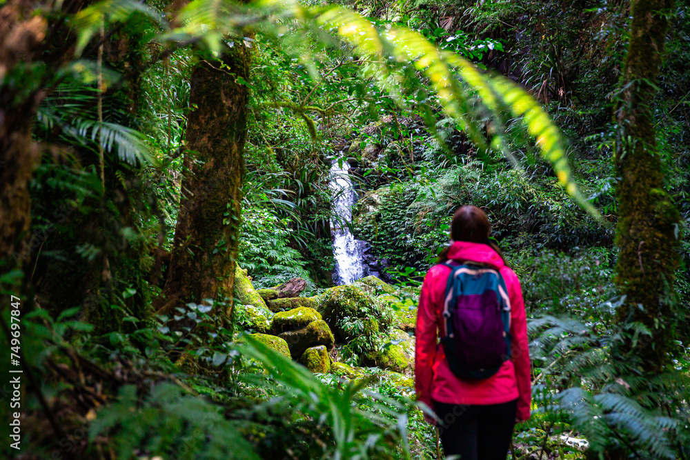 Fotografie relaxed hiker girl sitting in front of a tropical waterfall ...