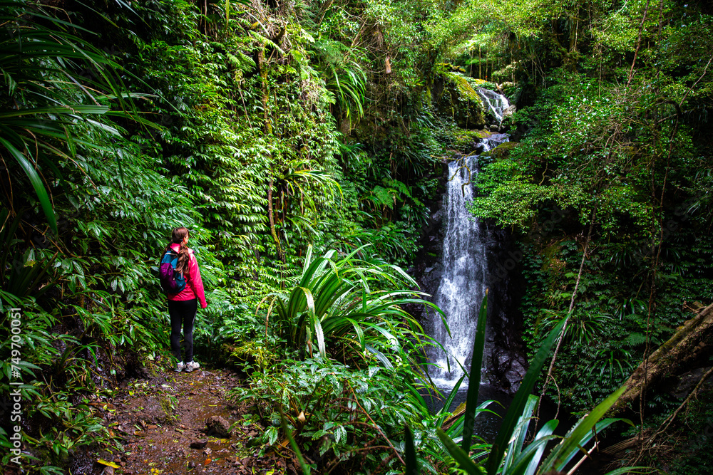 relaxed hiker girl sitting in front of a tropical waterfall; toolona ...