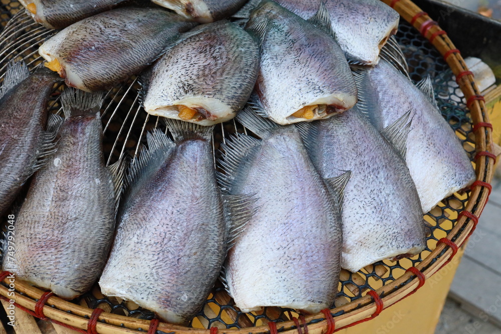 Gourami is a type of freshwater fish. The scientific name is ...