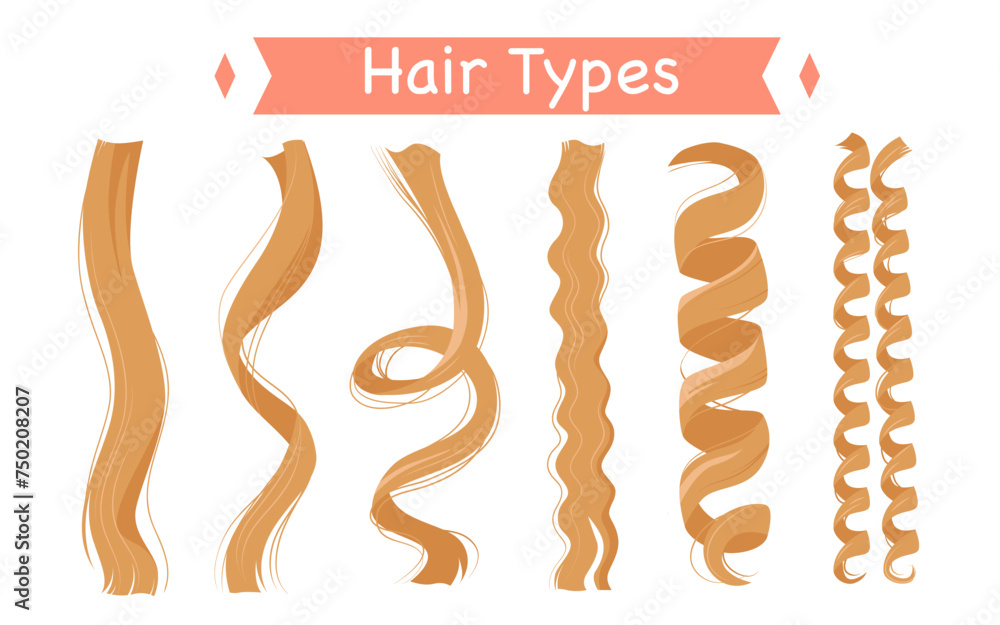 Curly hair types, infographic classification set vector illustration ...