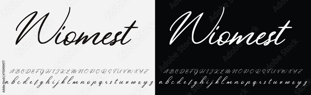 Hand drawn calligraphic vector monoline font. Distress signature letters. Modern script ...