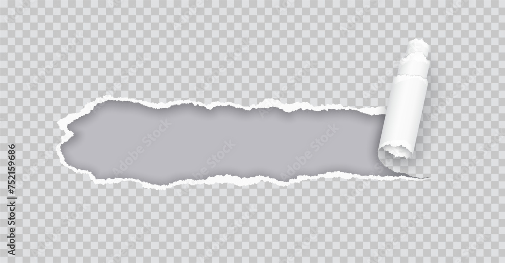 Torn paper rolled strip over grey realistic vector illustration. Teared ...