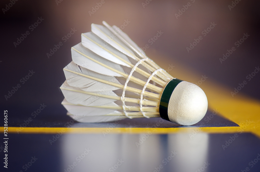 shuttlecock is a high-drag projectile used in the sport of badminton ...