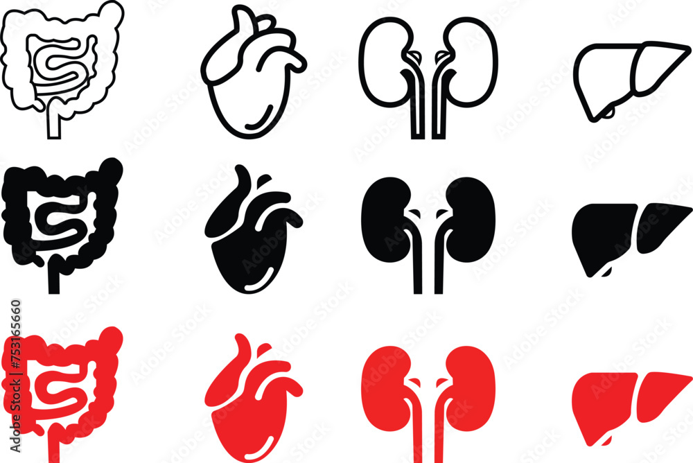 vector set of human internal organs including heart, kidney, liver ...