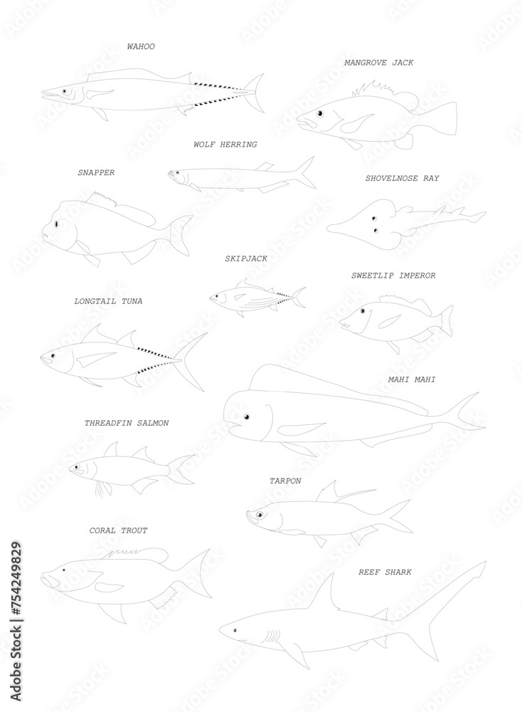 Australian ocean fish outline silhouette (tuna, shark, ray, tarpon ...