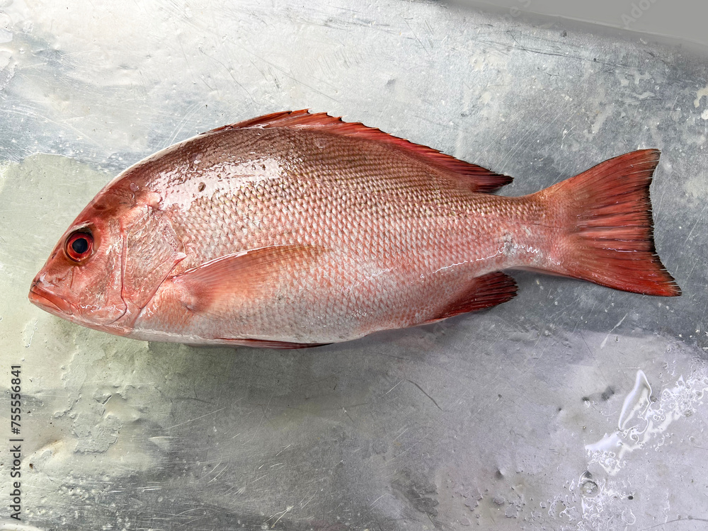 fresh raw cold seafood cut head tail red grouper whole fish ikan on ...