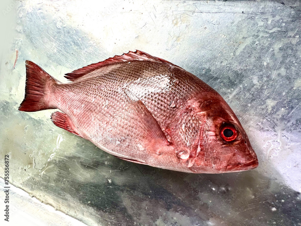 fresh raw cold seafood cut head tail red grouper whole fish ikan on ...