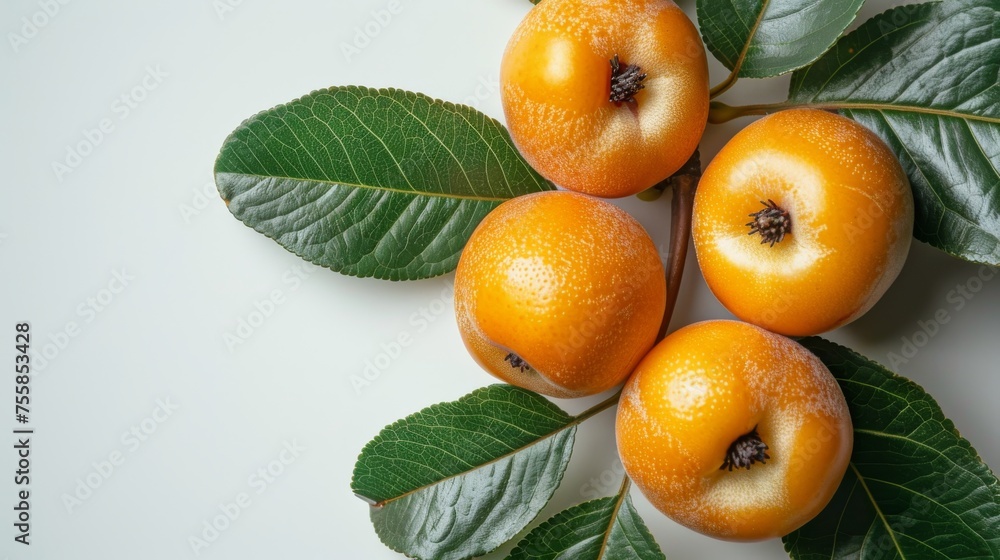 Cluster of yellow-orange loquat fruits with vibrant green leaves on a ...