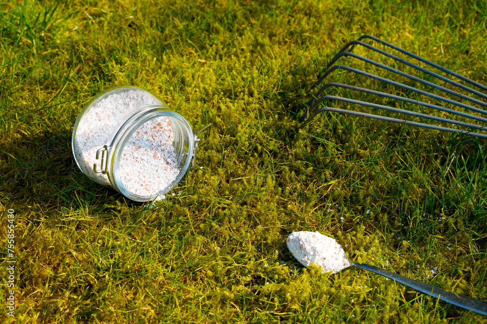 Naturall moss removal on the green lawn with rake and crashed eggshells ...