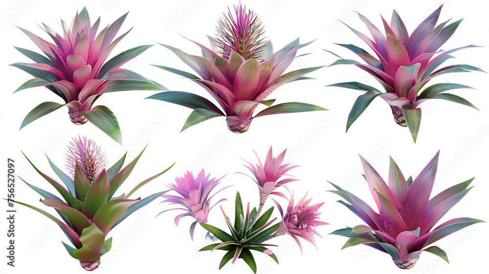 Bromeliad Collection: Tropical Flora in Vivid Digital Art - Exotic ...