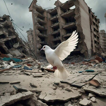 Give Peace A Chance On Brick Free Stock Photo - Public Domain Pictures